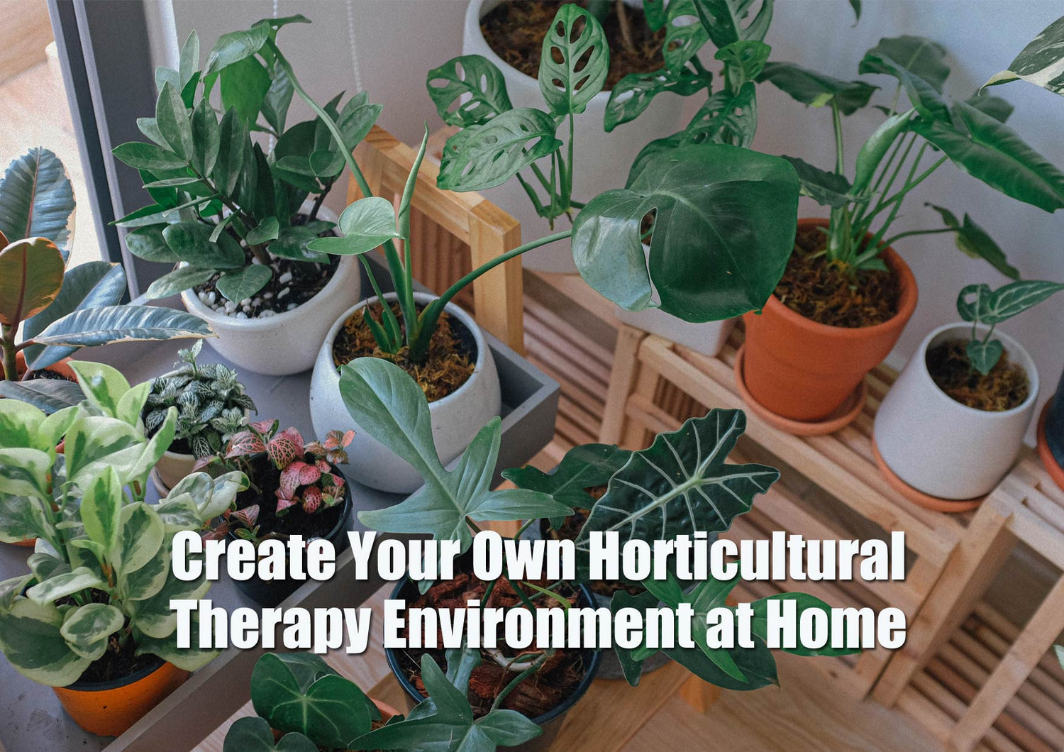 Create Your Own Horticultural Therapy Environment at Home – RollingNature
