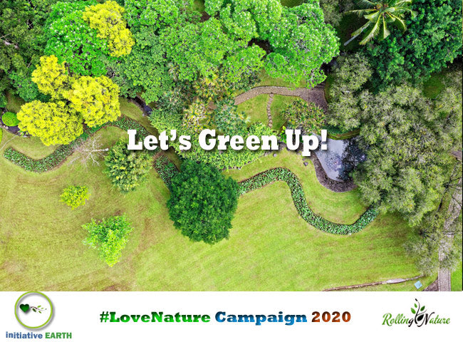 Let's Green Up: Plants & Trees Benefits in Urban Environment ...