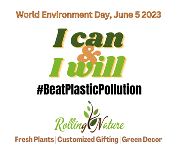 Plastic Pollution: The Facts & The Solutions – RollingNature