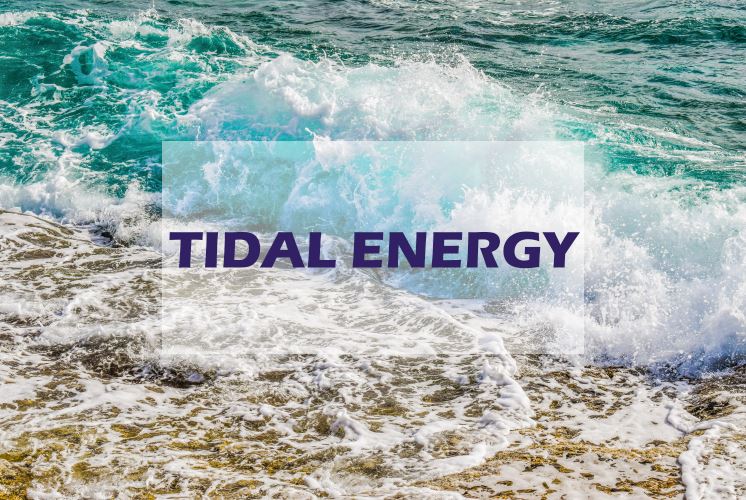 All You Need to Know About Converting Tidal Waves into Energy ...