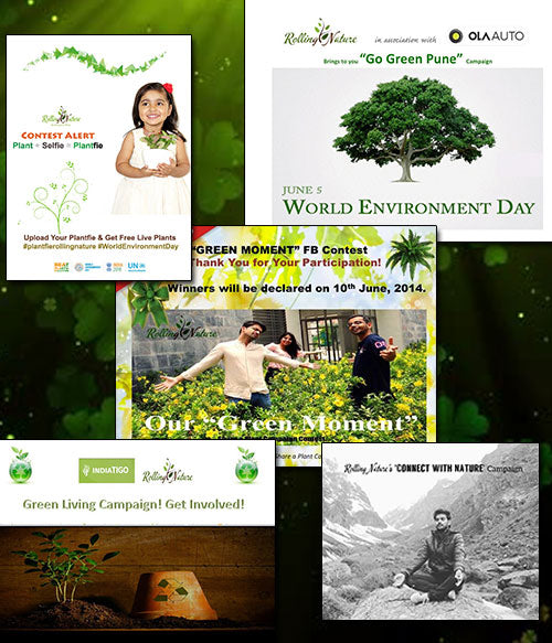 World Environment Day Campaigns: Our Green Story – RollingNature